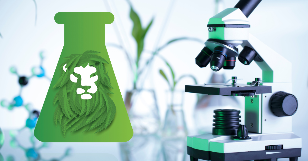 Discover GENE-UP PCR: Genetic Insights | CATLAB, LLC Discover GENE-UP PCR: Genetic Insights | CATLAB, LLC