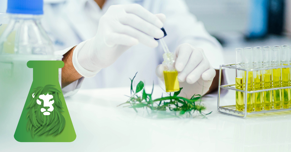Understanding Potency Testing Cannabis Products |CATLAB, LLC
